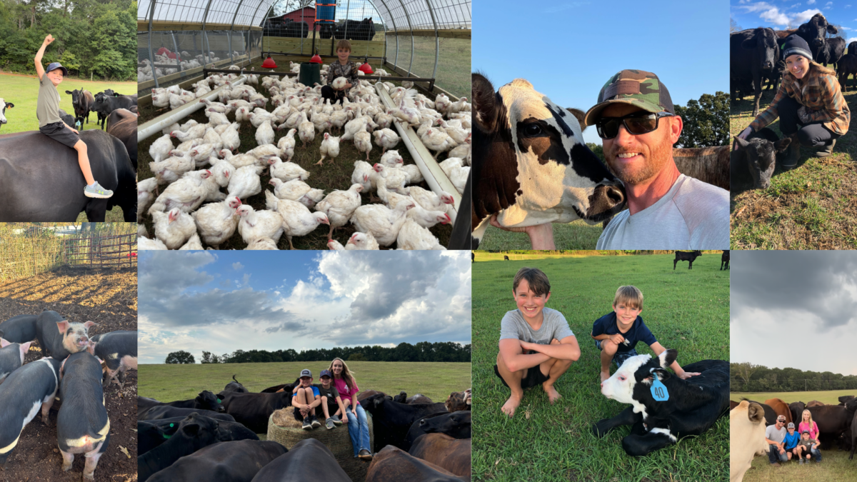 Boggs Cattle Farm - Quality Local Beef